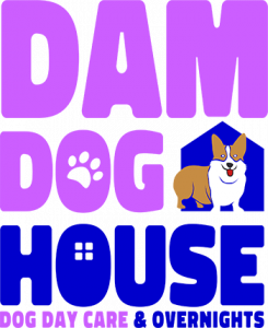 Services - Dam Dog House | Boulder City, Las Vegas